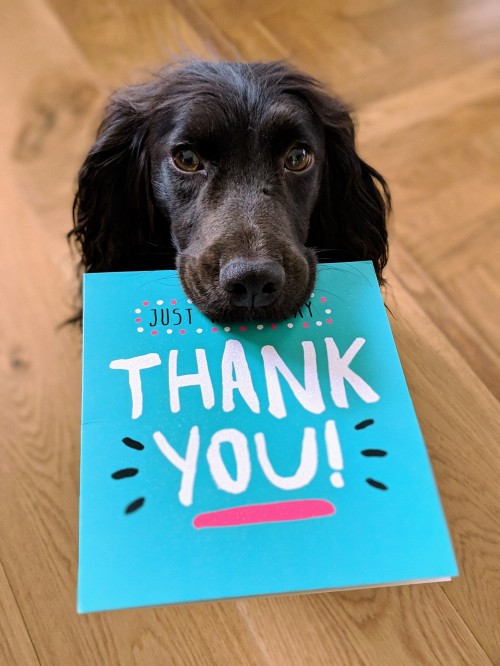 Giving Thanks Should be Year Round | FUN Enterprises, Inc.